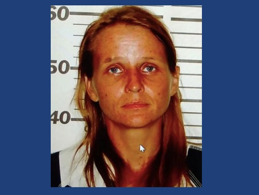 WATCH LIVE: MO v. Rebecca Ruud - Teen Daughter Murder Trial Day 1 ...