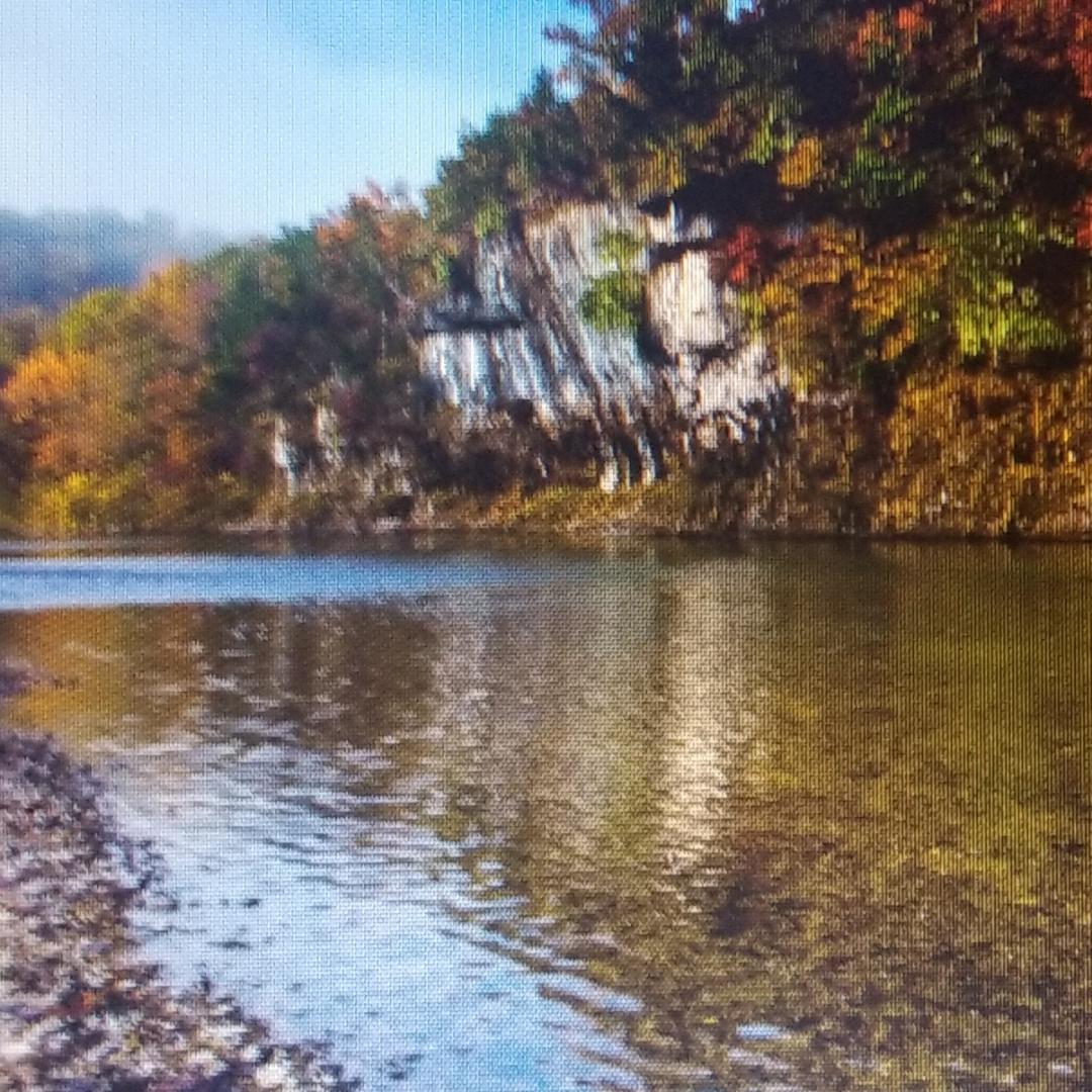 Current River State Park Hosts Wild Medicinal Class Aug 13 And 14 Current River State Park Hosts Wild Medicinal Class Aug 13 And 14