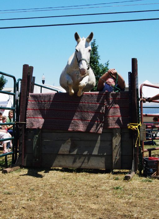Old Time Music, Ozark Heritage Festival to hold 13th Mule Jump ...