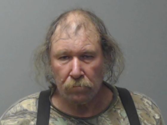 Parole absconder flees from deputy, captured shortly soon after - Ozark ...