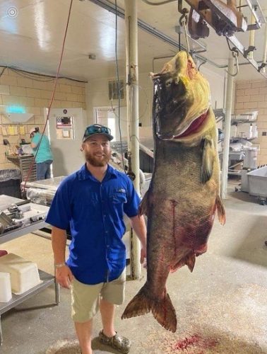 Perry County bowfisherman catches world record sized bighead carp ...