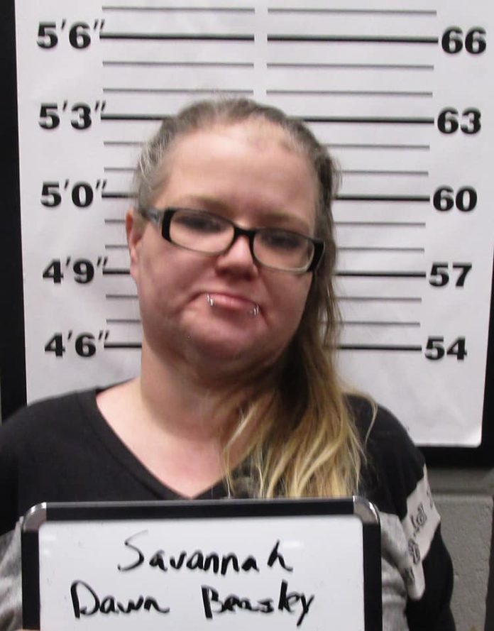 Eight Arrested in Ava Drug Busts on Feb. 27 - Ozark Radio News