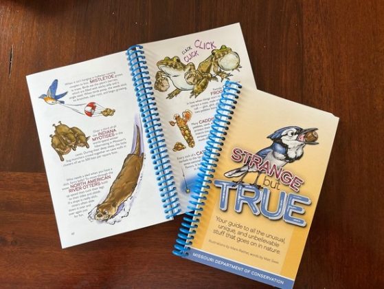 Discover weird wildlife with MDC’s new Strange but True guidebook ...