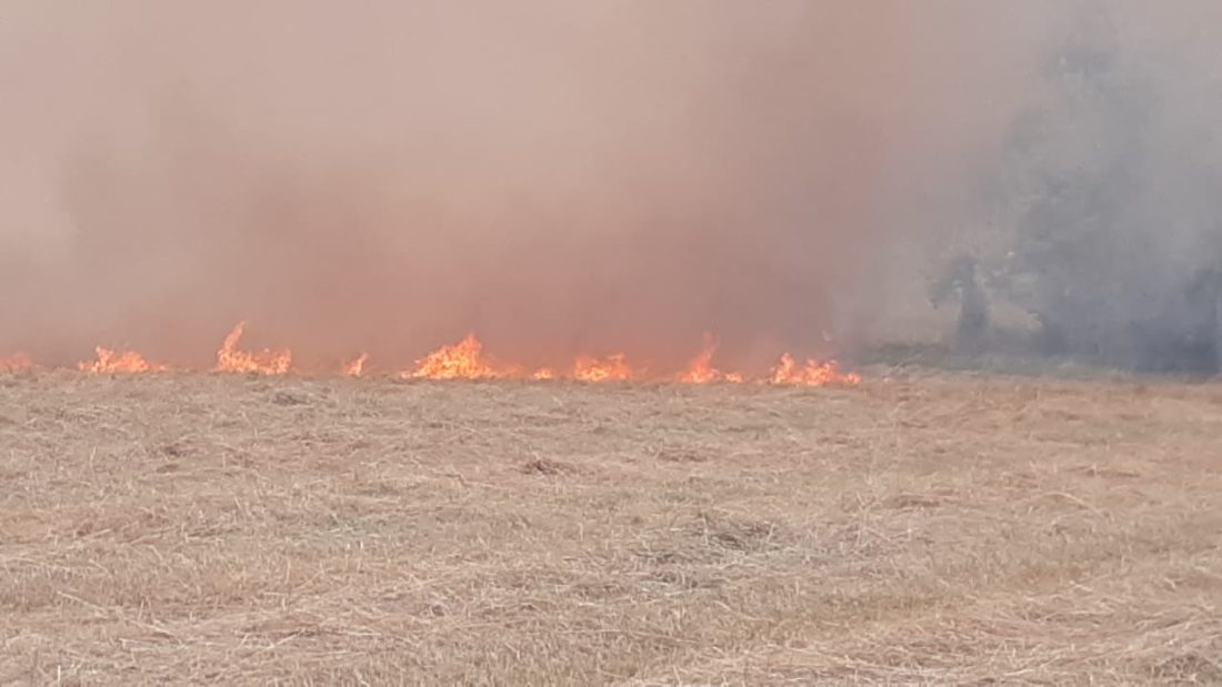 Avoid C.R. 5120 in Howell County While Firefighters battle Blaze ...