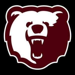 Willow Bears take victory Ava Bears by one after Ava is up by as many ...