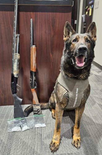 Traffic Stop and K9 Unit Lead to Arrest and Confiscation of Firearms and Drugs - Ozark Radio News
