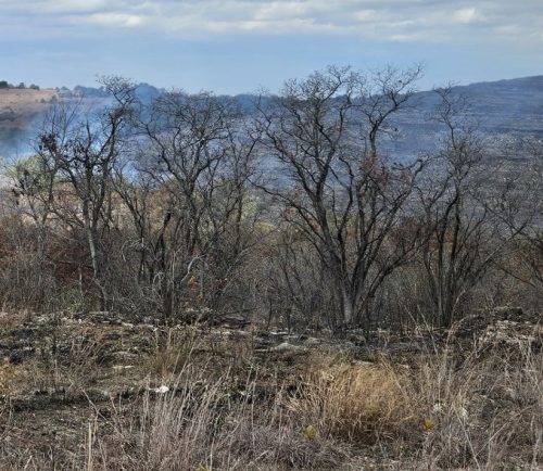 Sugar Fire Contained – Timely Rain Makes the Difference | Ozark Radio News